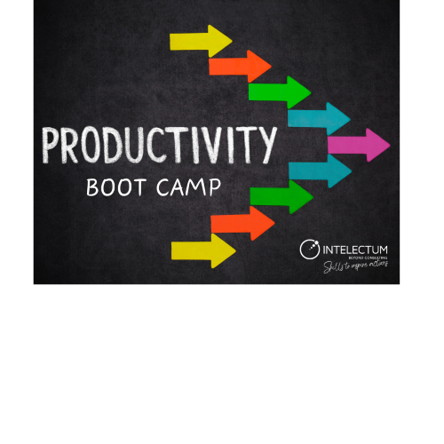 Intelectum Productivity Boot Camp